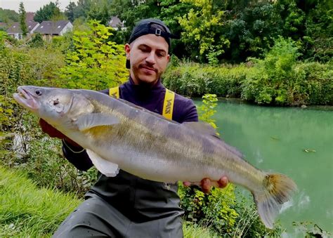 À Meaux Il Pêche Un énorme Poisson Après De Longues Minutes De Combat
