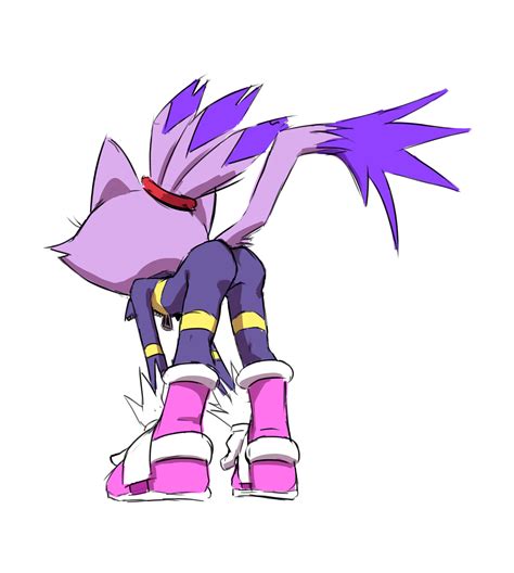 Adam Bryce Thomas Blaze The Cat Blaze The Cat Riders Sonic Series Sonic Riders Zero
