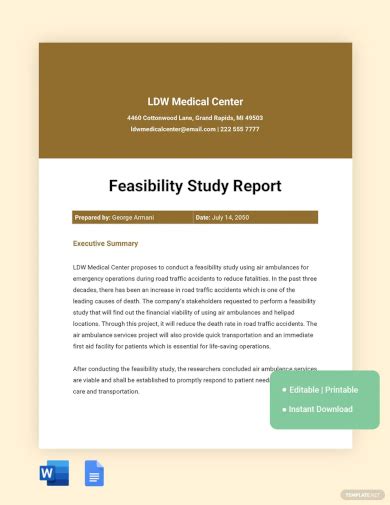 FREE 19 Sample Feasibility Reports In MS Word PDF Google Docs