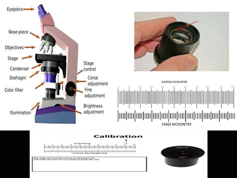 Micromeritics Unit Physical Pharmaceutics Sem B Pharm PDF