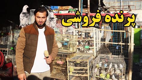 گزارش ندیم، کوچه پرنده فروشی، مزارشریف، طوطی، روسی، مرغ، خروس، بازار گرم، افغان مایک Youtube