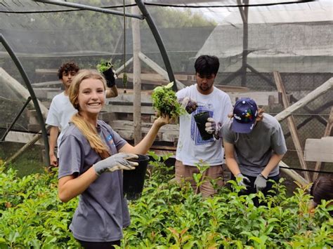 10 Key Elements Of A Successful Cas Program Cas Trips