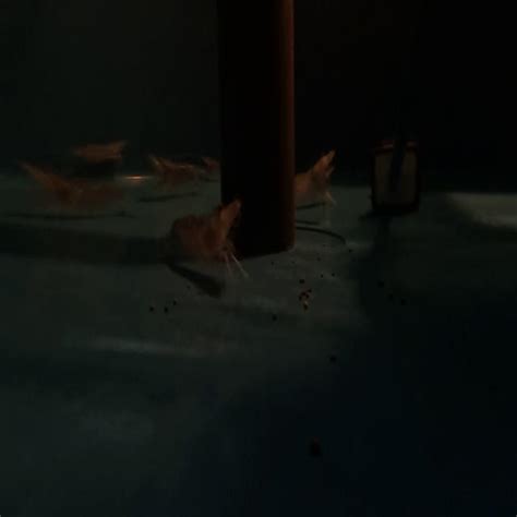 Test Keypoint Detection Dataset By Test