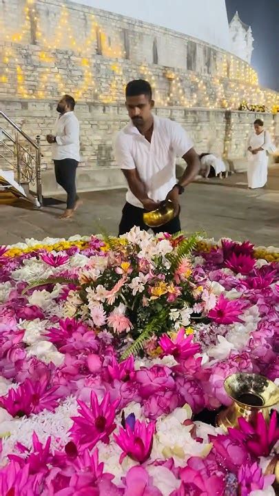 මල් ආසනය 🙏 පිං කැමති සියලු දෙනා අනුමෝදන් වේවා රුවන්වැලි සෑය Youtube