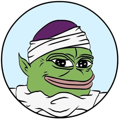 Picollo Pepe Fairlaunch Picpe Pinksale Rmemecoins