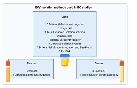 Distribution Of Extracellular Vesicle Derived Bladder Cancer Biomarkers Download Scientific