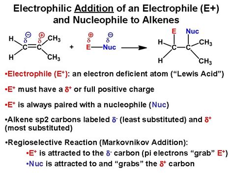 Chapter 8 Electrophilic Addition Of An Electrophile E
