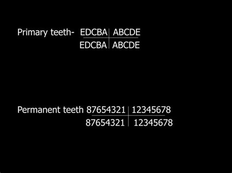 Bds Ii Year Lecture Tooth Notation Pptx
