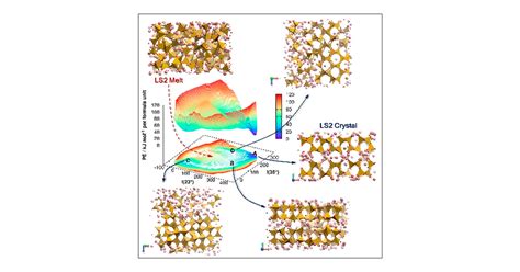 Evidence Of Multiple Crystallization Pathways In Lithium Disilicate A