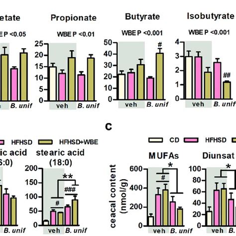 B Uniformis Cect 7771 Combined With Wbe Ameliorates Obesity Associated