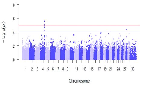 Manhattan Plot Of Genome Wide Association Analyses For Reproductive