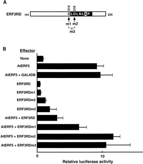 Repression Domains Of Class Ii Erf Transcriptional Repressors Share An