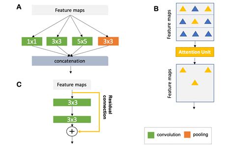 Deep Learning For Cardiac Image Segmentation A Review Deepai
