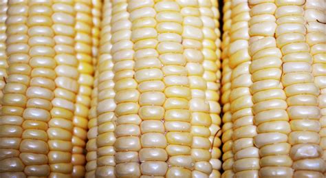 How To Use The Kernel Object Detection Api