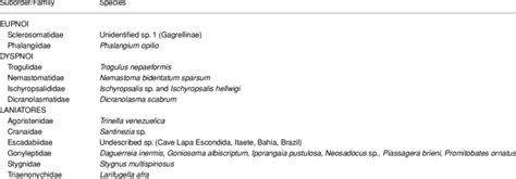 Species Of Phalangida Used In This Study Download Table