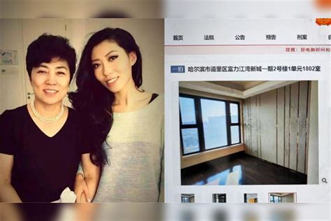 疑似曲婉婷名下两套房产被法拍现已公示起拍价均在200万以上