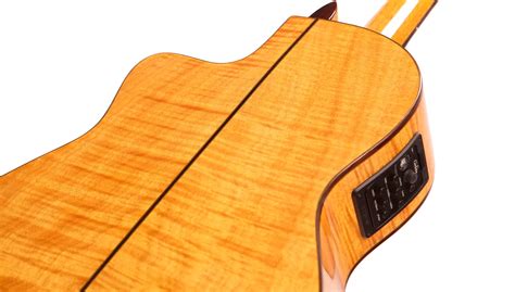 12 Maple Cordoba Guitars