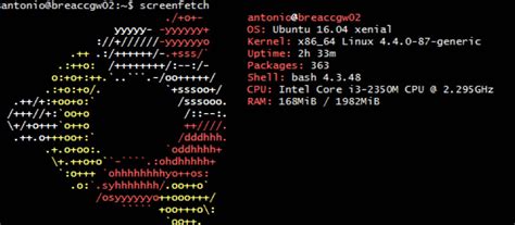 Linux Show System Information In Your Terminal With Screenfetch