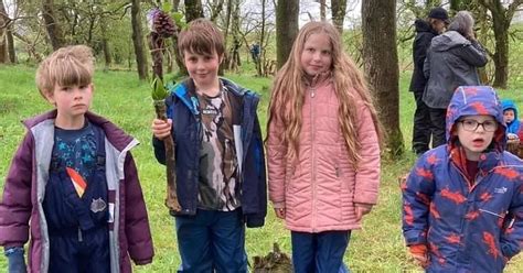 Borgue Primary Pupils Enjoy The Great Outdoors With Forest Schools