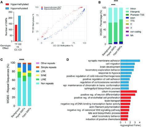 Genotype Effect From Whole Genome Bisulfite Sequencing Genomic Download Scientific Diagram
