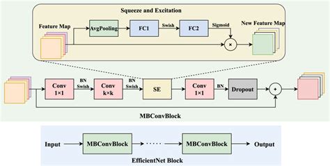 Illustration Of Efficientnet Block Download Scientific Diagram