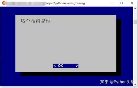 Python 文本终端 GUI 框架太酷了 知乎