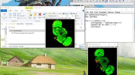 imagej tutorial how to export a stack frame by frame youtube