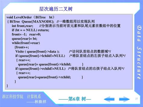 第六章 树和二叉树 ppt download