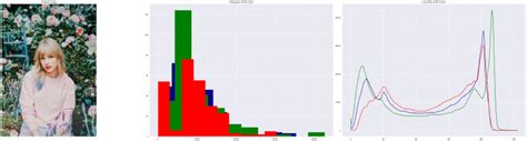 Visualizing Colors In Images Using Histograms Python Opencv Askpython