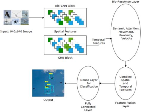 Bio Inspired Motion Detection Models For Improved Uav And Bird Sundaravadivazhagan Phdsmieee