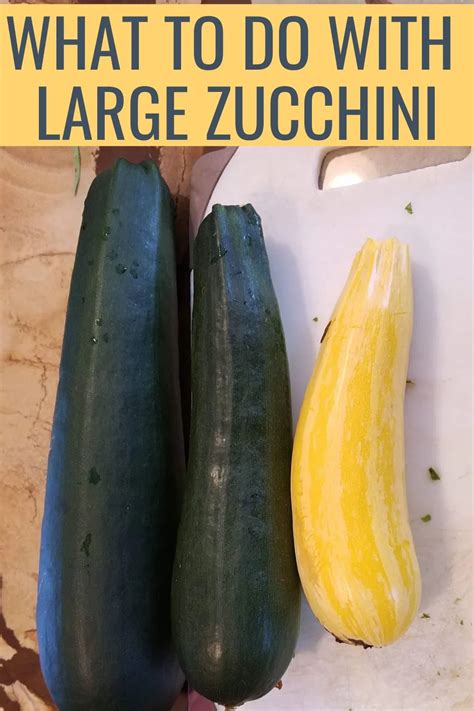 Are Big Zucchini Good Eating