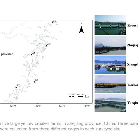 Predicted Functional Profiles For Bacterial Community By Picrust And