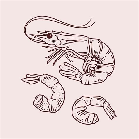 Shrimp Clip Art Images Free Download On Freepik