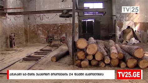 აჭარაში ხე ტყის უკანონო მოპოვების 24 ფაქტი გამოავლინეს Youtube
