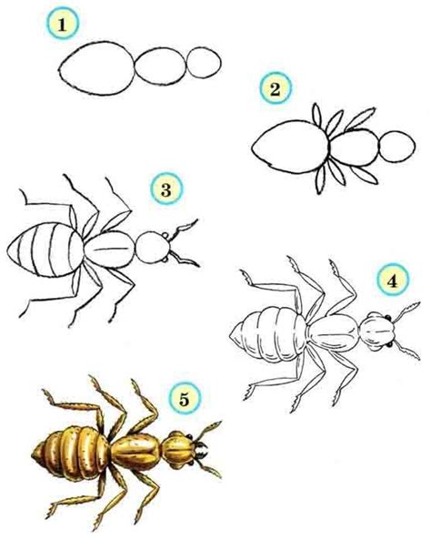 How To Draw A Insect Step By Step Surrealist Drawing Techniques
