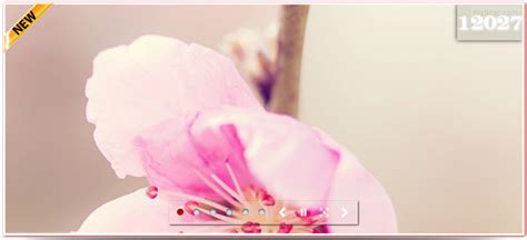 How To Customized Jquery Rotator Slider Next And Previous Arrow