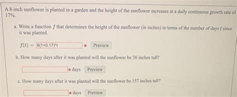 Solved A 8 Inch Sunflower Is Planted In A Garden And The