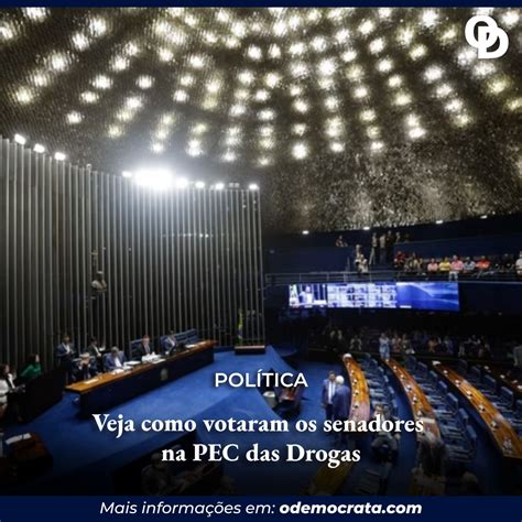 Veja Como Votaram Os Senadores Na Pec Das Drogas Odemocrata