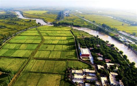 中国消费帮扶网