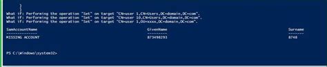 Powershell Script To Populate The Pager Field In Ad Via A Csv File