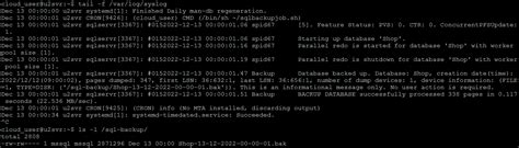 Github Vottridatabase Backup