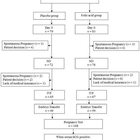 Flow Chart Hcg—human Chorionic Gonadotrophin Ivf—in Vitro Download Scientific Diagram