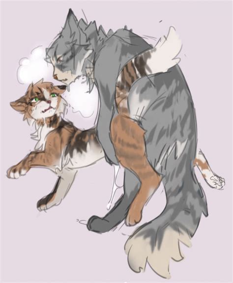 Post Plumbelly Spottedleaf Thistleclaw Warrior Cats