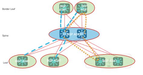 在catalyst 9000上实施并检验仅bgp的vxlan Evpn Cisco