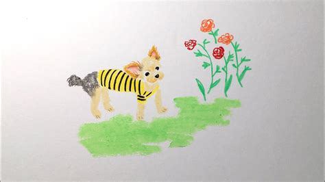 강아지 그리기 귀여운 요크셔테리어 그리기 Youtube