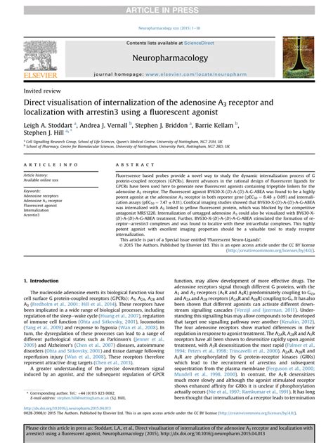 Pdf Direct Visualisation Of Internalization Of The Adenosine A3 Receptor And Localization With