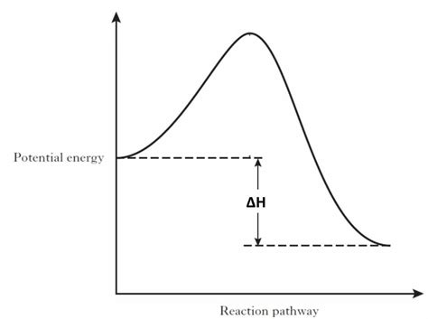 Exploring The Exothermic Enthalpy Diagram WireMystique