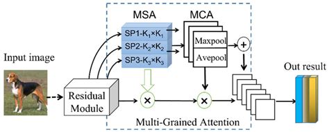 Image Classification Model For Multi Granularity Attention Residual