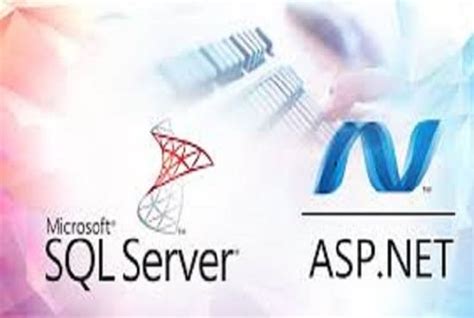 Create Asp Dot Net Mvc Web App Fully Customize By Srasheed Fiverr