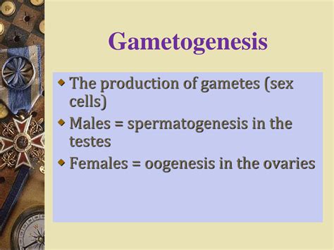 Solution Effects Of Mutations Notes Studypool